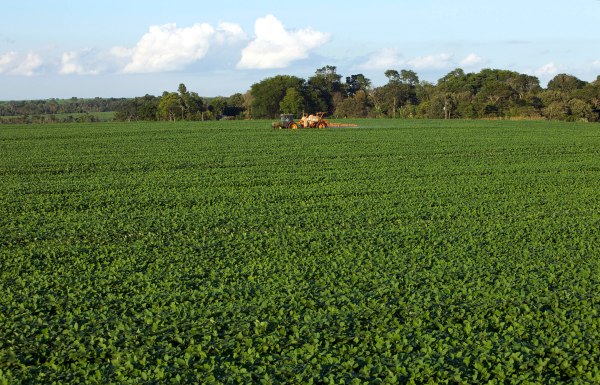 Paraguay Agricultural Region